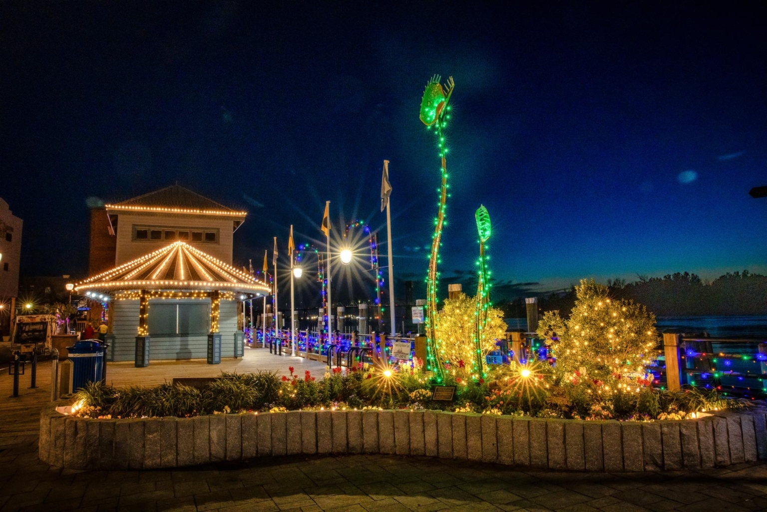 Light Up The Holidays With These Wilmington Christmas Light Displays